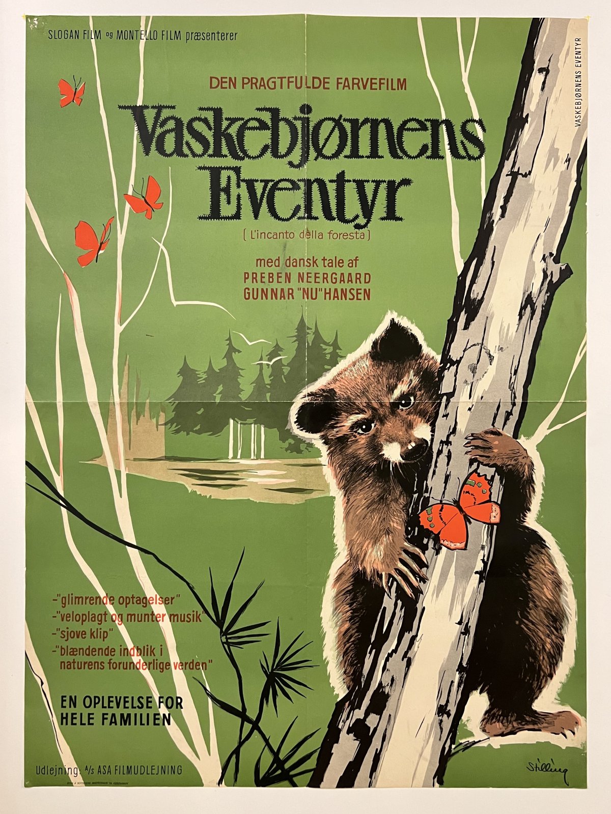 Vaskebjørnens Eventyr - Tegne- & Familiefilm - FilmPlakaten.Com